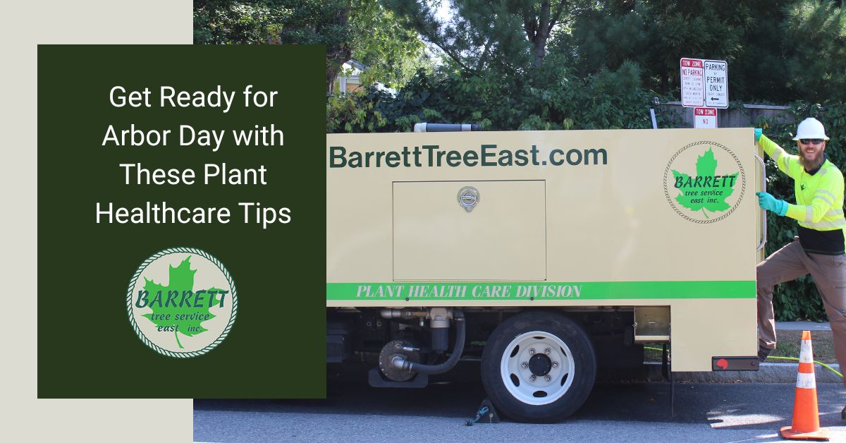 Get Ready for Arbor Day with These Plant Healthcare Tips