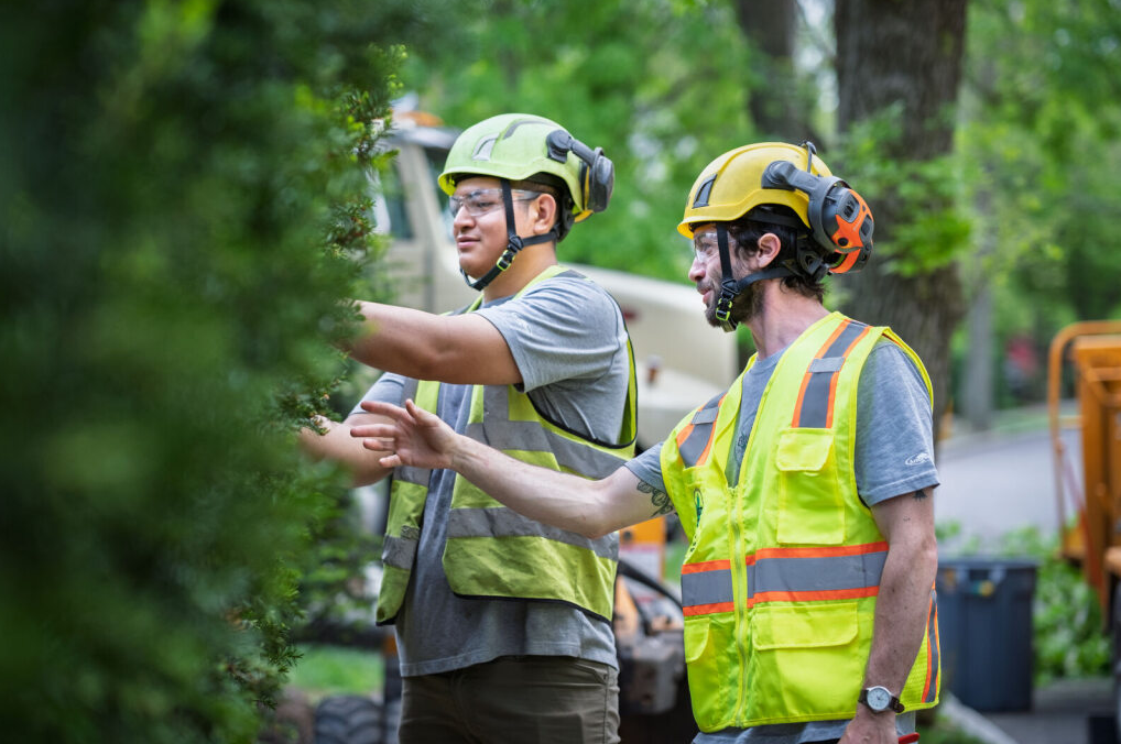 Our Work | Barrett Tree Service East