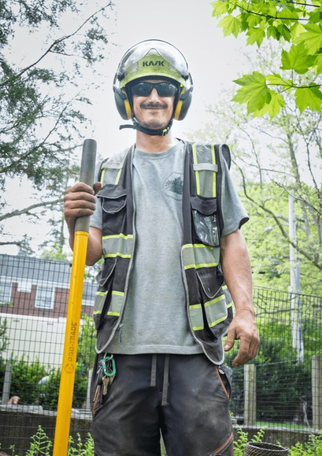 Our Work | Barrett Tree Service East