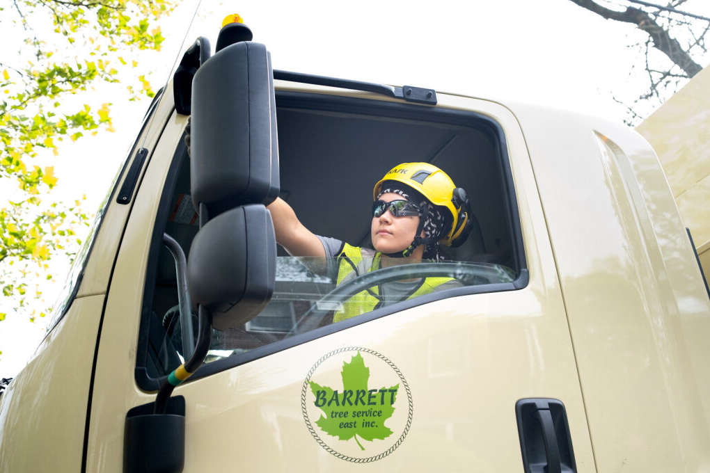 Our Work | Barrett Tree Service East